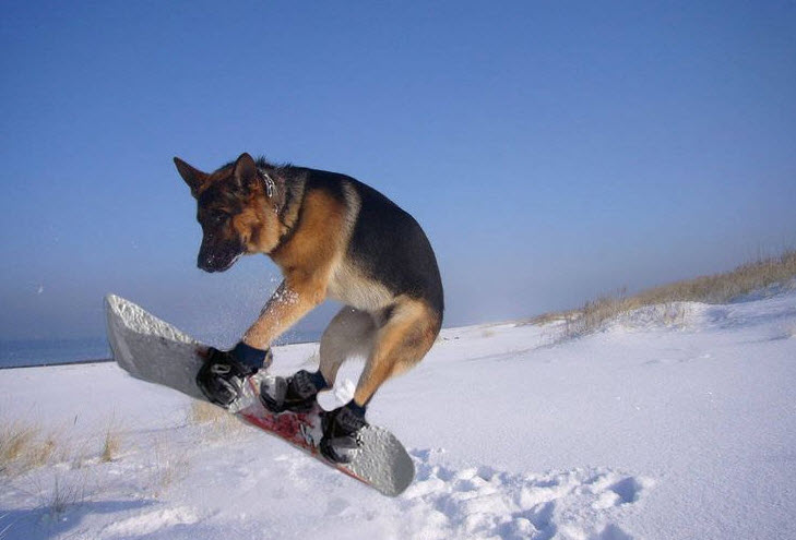 Toe side and Heel side snowboard turns - Online Snowboard Coach